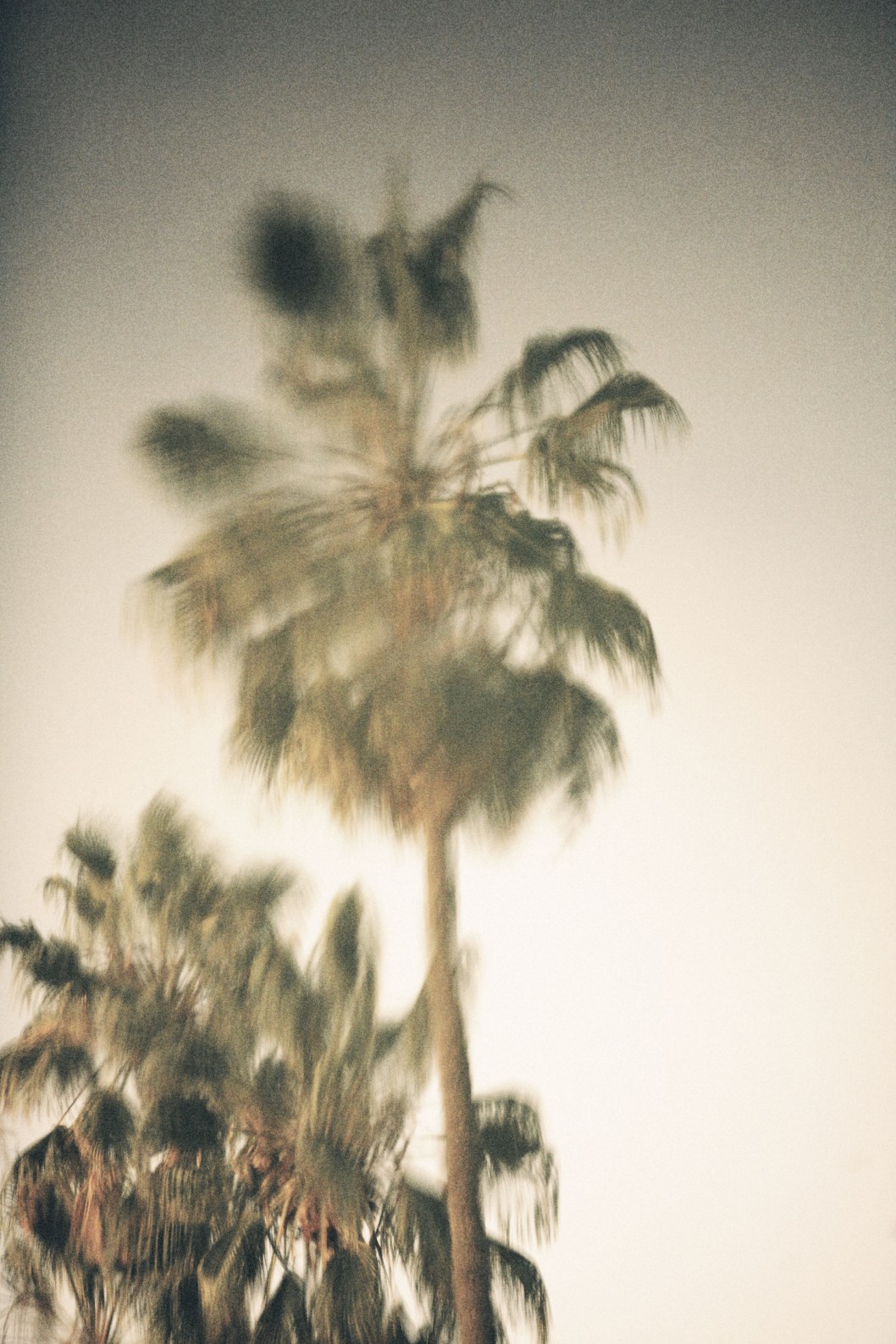 The “Almost” cover photos | Beverly Hills Confidential